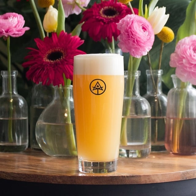 Store | Autodidact Beer | autodidactbeer.com